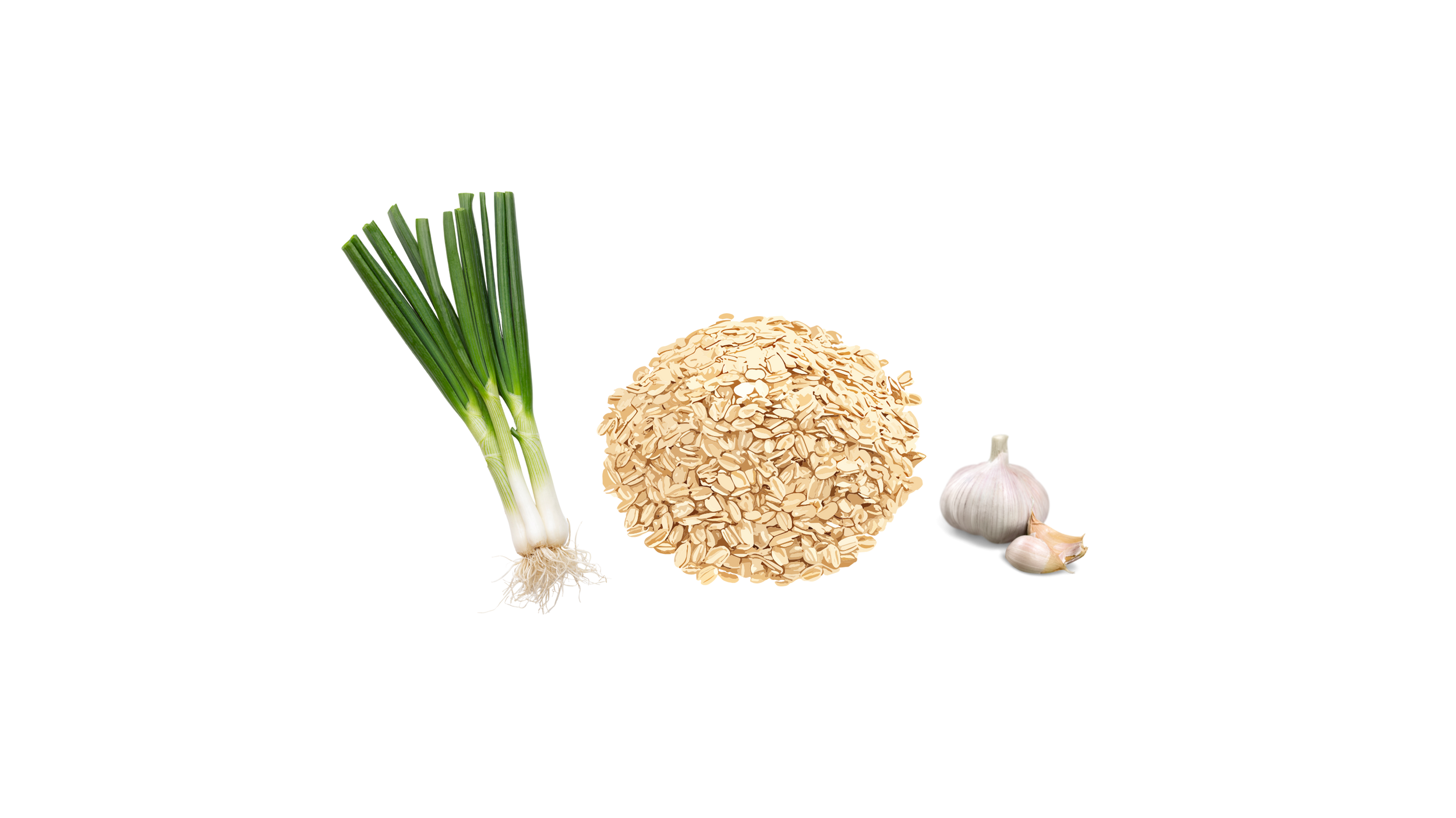 Gamsa Foods